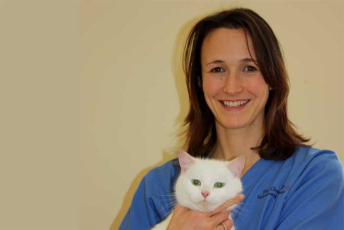 Veterinary News - VetSurgeon News - VetSurgeon.org - VetSurgeon.org